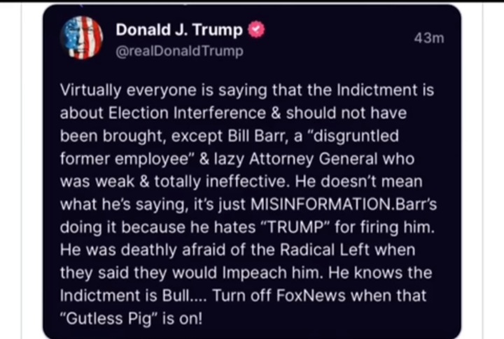 “Gutless pig” « gratuitousblahg